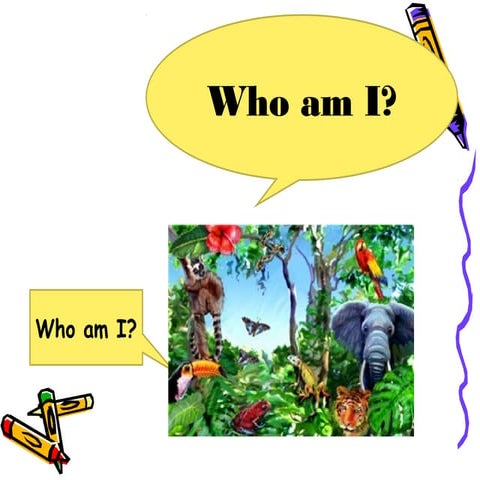 Animals | PPT