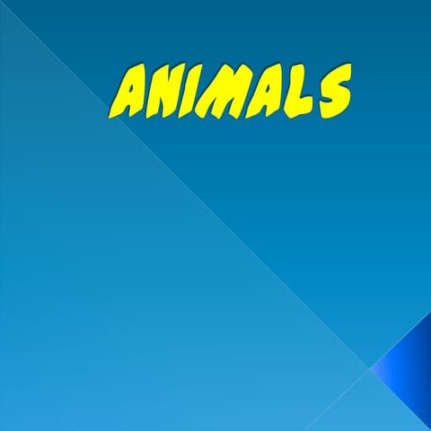 The Animals Docx