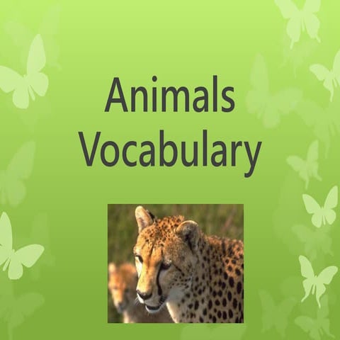 Animals | PPT