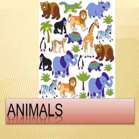 Animals | PPTX