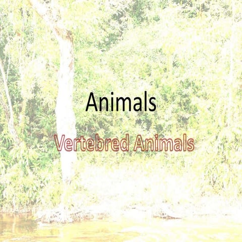 English Teaching Material: Animals | PPTX