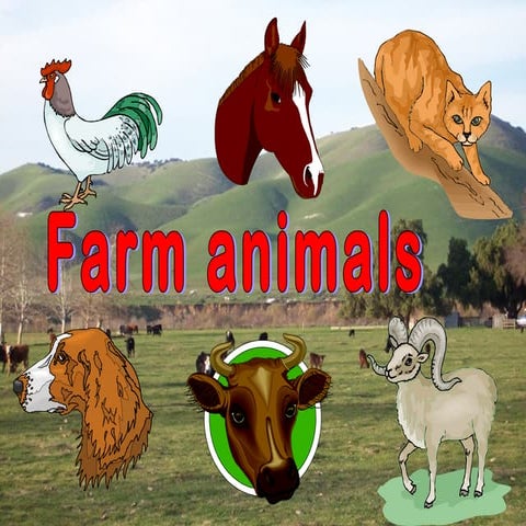 Animals powerpoints for kids | PPTX