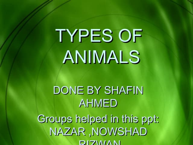 Animals third grade | PPTX