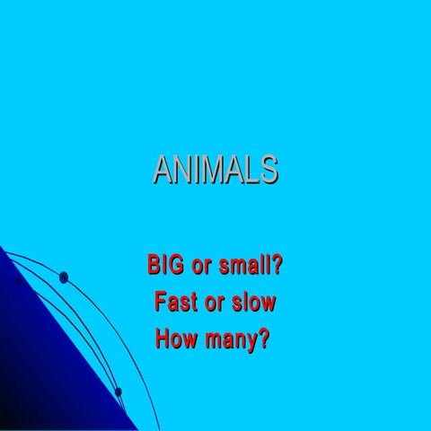 Animals | PPT