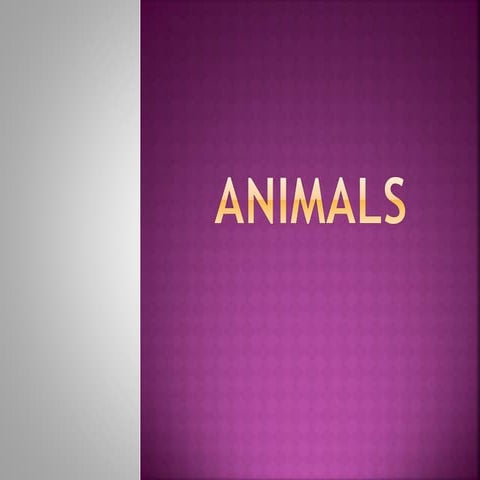 Animals | PPT