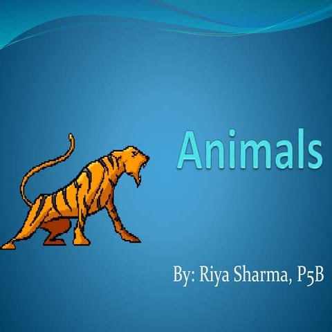 Animals | PPTX