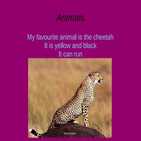Animals | ODP