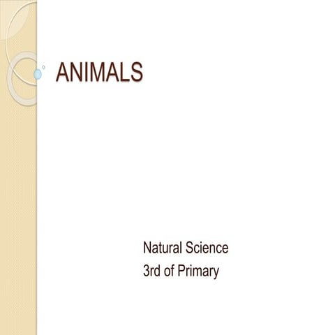 Animals | PPT