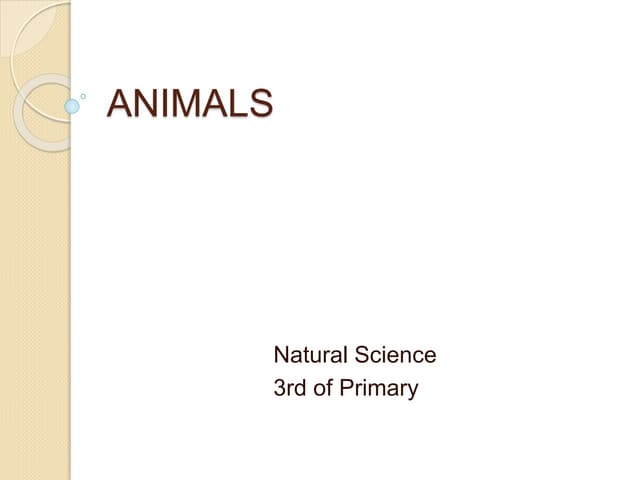 Lesson plan on classification of animals | DOC