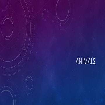 Animals Vocabulary | PPTX