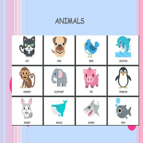 Animals | PPT