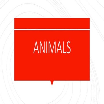 NS3 Unit 2 Life processes of animals.pptx