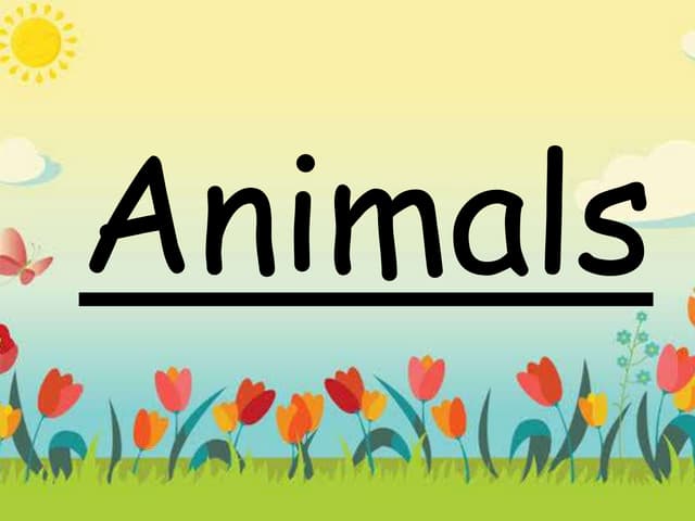 Using polite expressions | PPTX