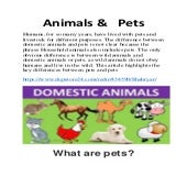 Animals and Pets | PDF