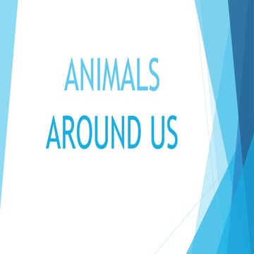 ANIMALS.pptx