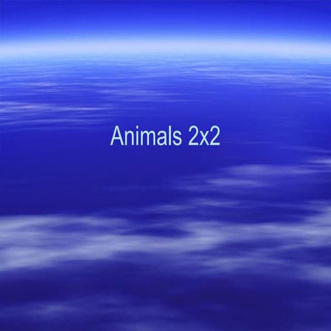 Animals 2x2 | PPT