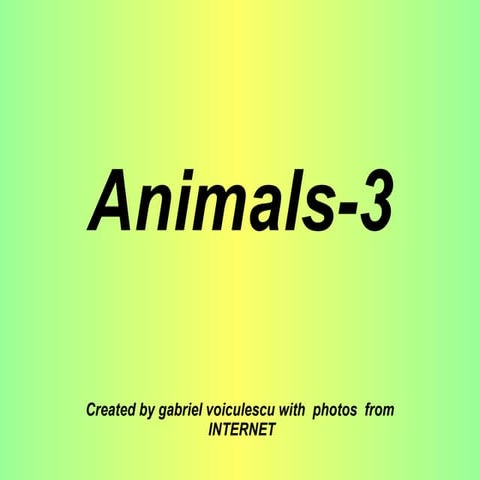 Animals 3 | PPS