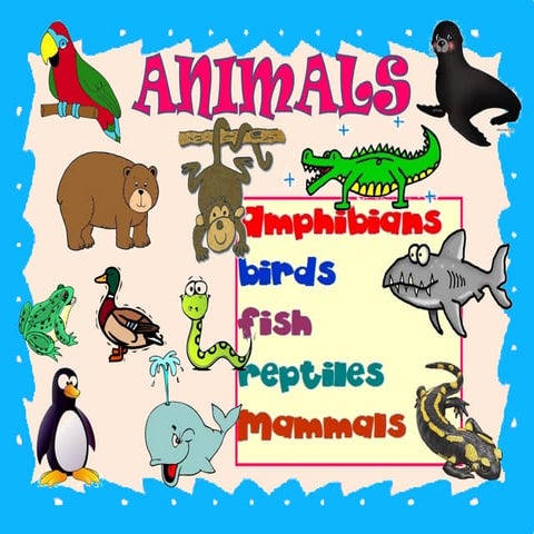 Discovering Diverse Animals: Characteristics and Habitats of Common ...
