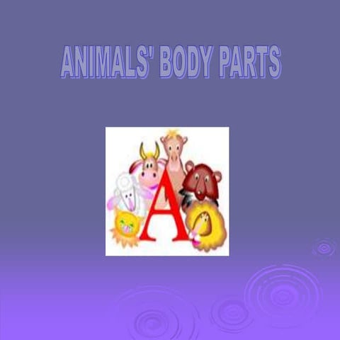 animals-body-parts-games-reading-comprehension-exercises_14356.ppt
