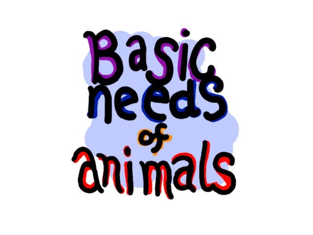 What animals need | PPTX