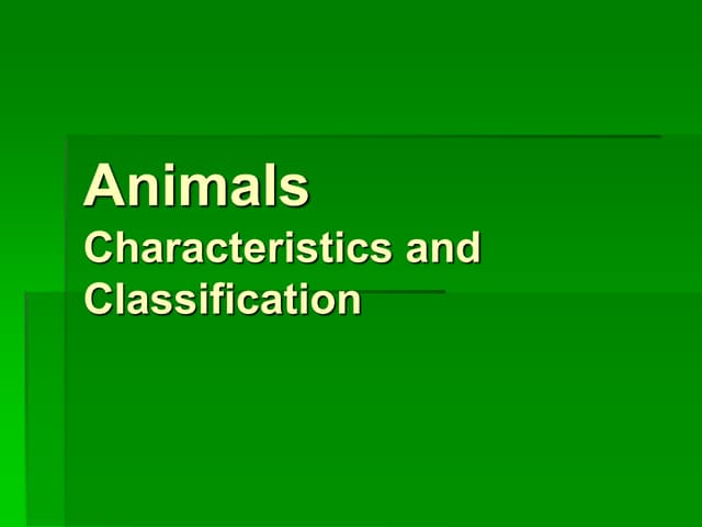 Invertebrates class ppt | PPT