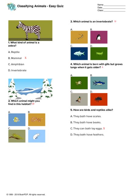 Animals classifying animals-hard-quizz | PDF