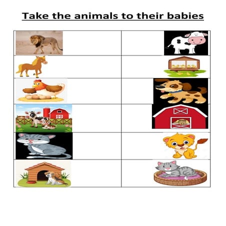 Animals ew | PDF | Pet Adoptions | Pets
