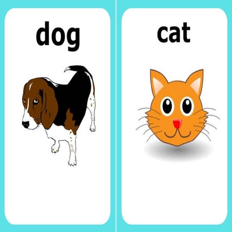 Animals-Flashcards Picture Reading Beginning | PPT