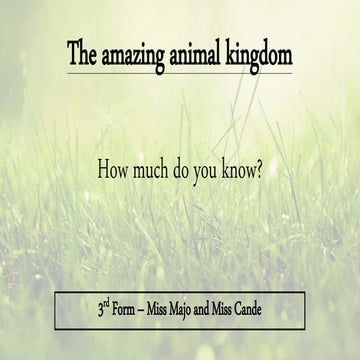 Animals - How much do you know 24-06 .pptx