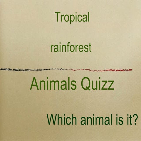 Tropical rainforest animals quizz | PPT