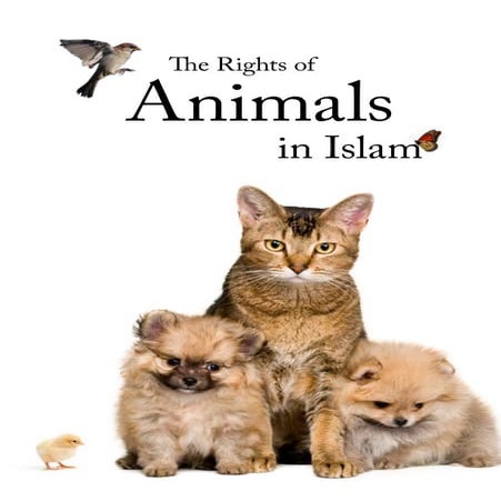 The Rights of Animals in Islam | PDF | Islam | Religion & Spirituality
