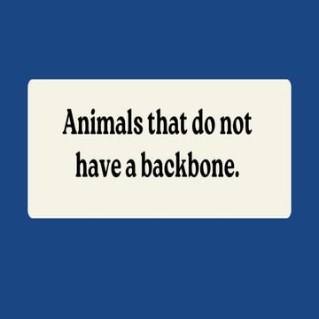 Animals-that-do-not-have-a-backbone..pdf