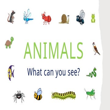 animals-what-can-you-see_139610grammar.pptx