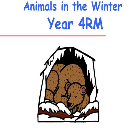 Animals winter | PPT | Birds | Pets