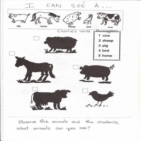 Animals 01 Pdf