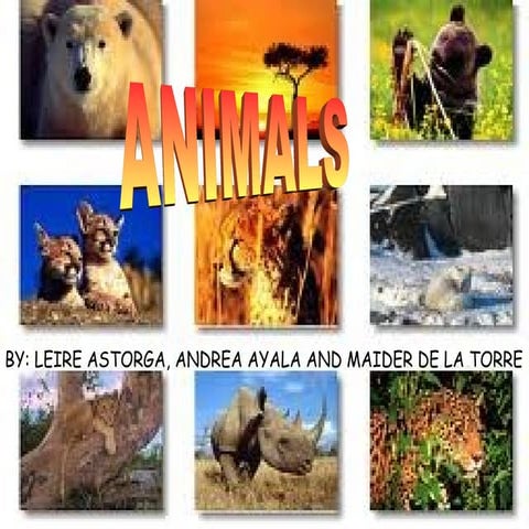 Jaguar reading comprehension.pdf