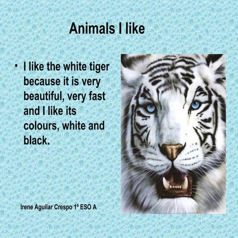 ANIMALS I LIKE | PPT