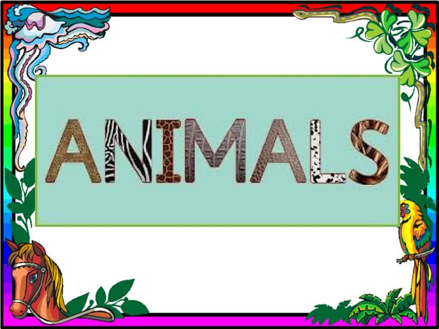 Animals third grade | PPTX