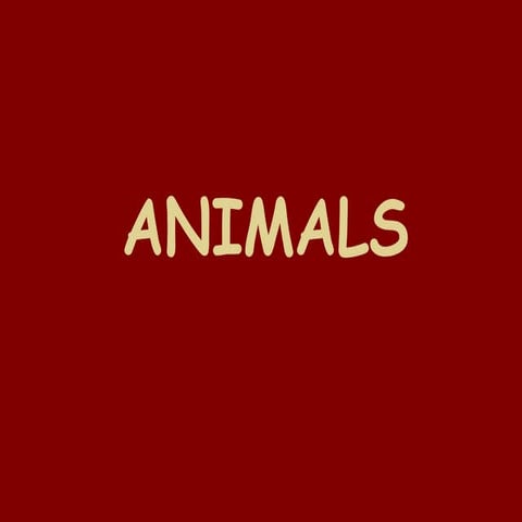 Animals for 6th Class | PPT