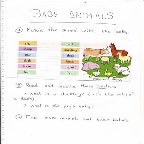 Animals9 | PDF