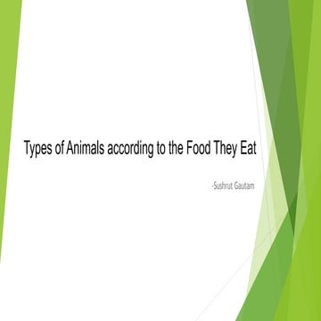 Animals acc to food | PPT