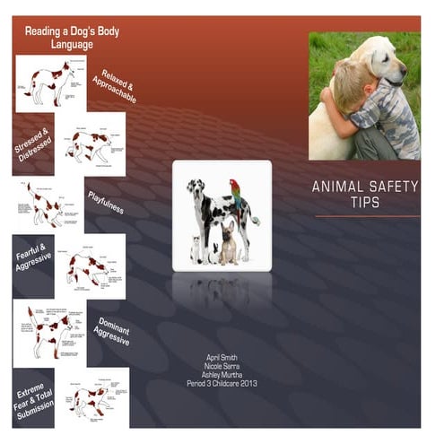 Animal safety brochure | PDF