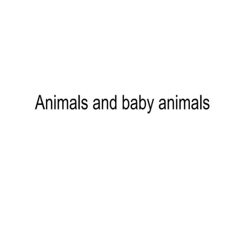 Animals And Baby Animals Powerpoint | PPT