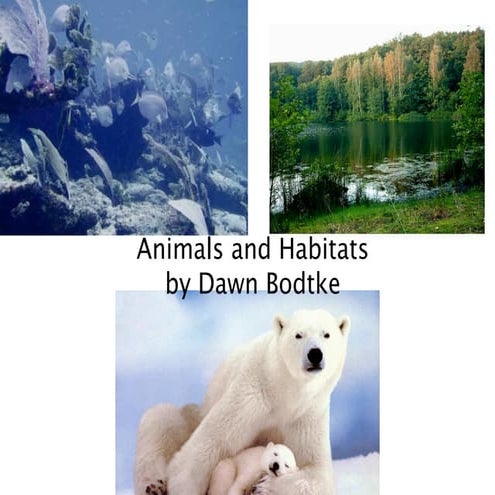Animals & their habitat | PPTX