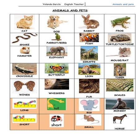 Animals and pets | PDF