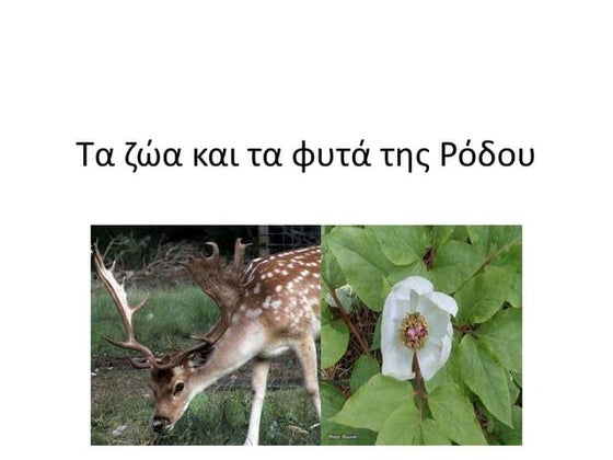 ΖΩΑ: ΑΣΠΟΝΔΥΛΑ & ΣΠΟΝΔΥΛΩΤΑ | PPTX