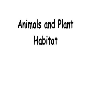 Animal Kingdom Kindergarten Animals and their Habitats | PPTX