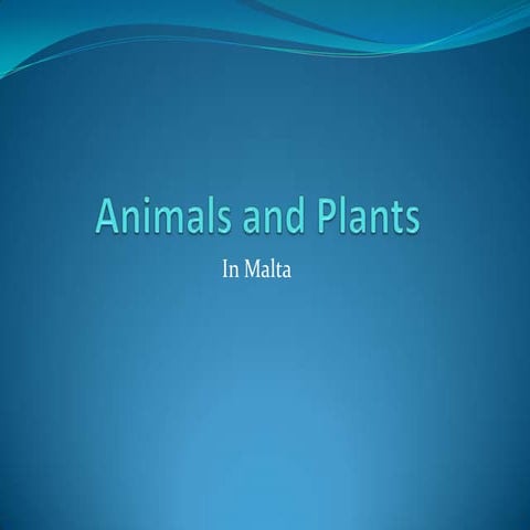 Animals and plants | PPT