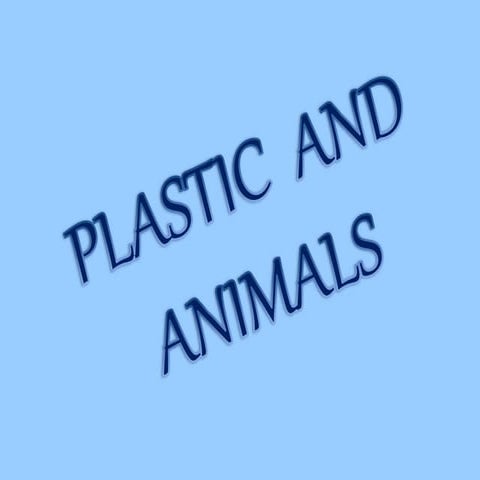 Animals and plastic | PPTX