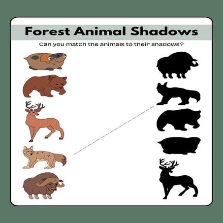 Animals and Shadows Matching Worksheet in Green and White Illustration ...